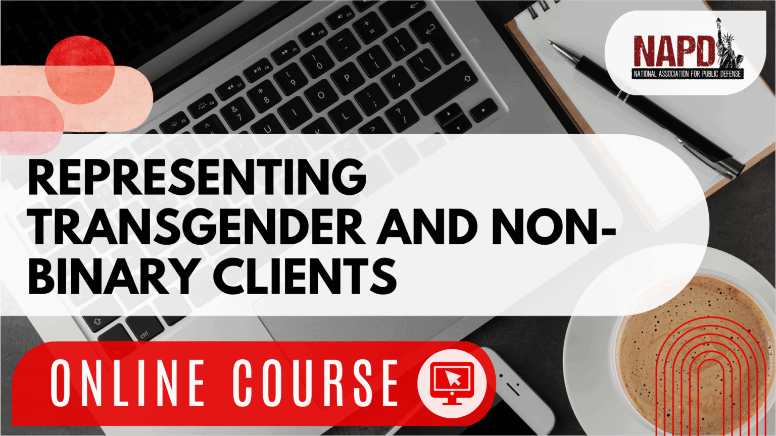 Online Course: Representing Transgender and Non-Binary Clients - National Association for Public ...